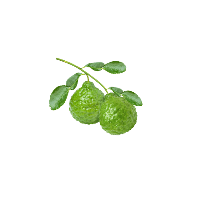 Bergamot – farfalla.ch