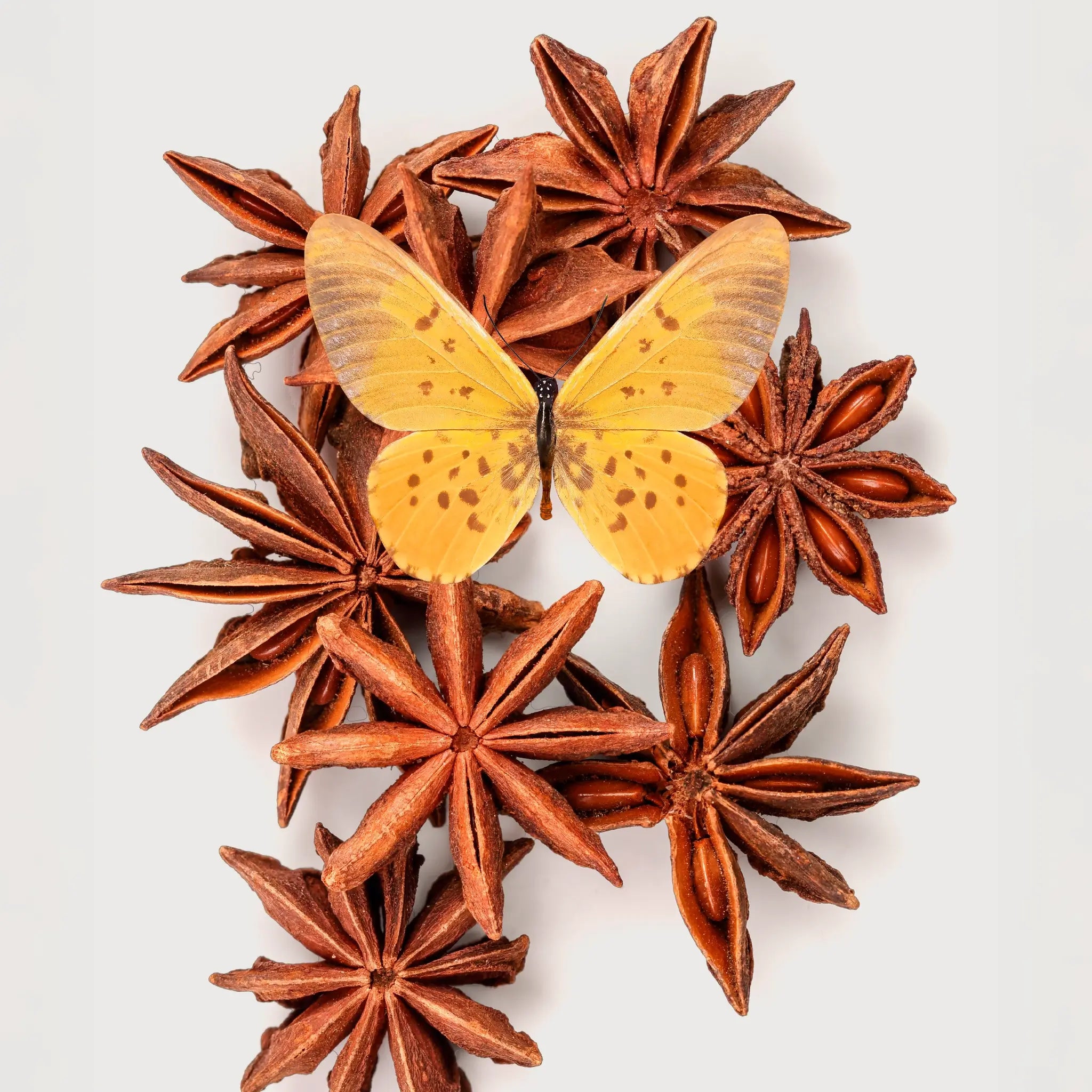 Flavouring oil set with recipe ideas Aroma kitchen – farfalla.ch