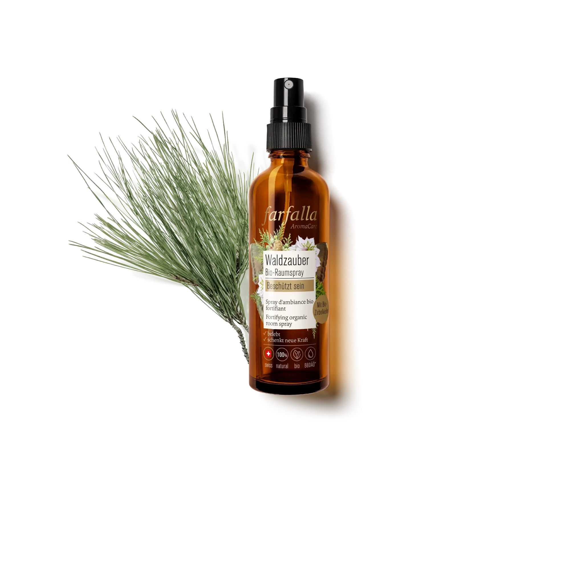 Absolue Rose Beschützt sein – farfalla.ch