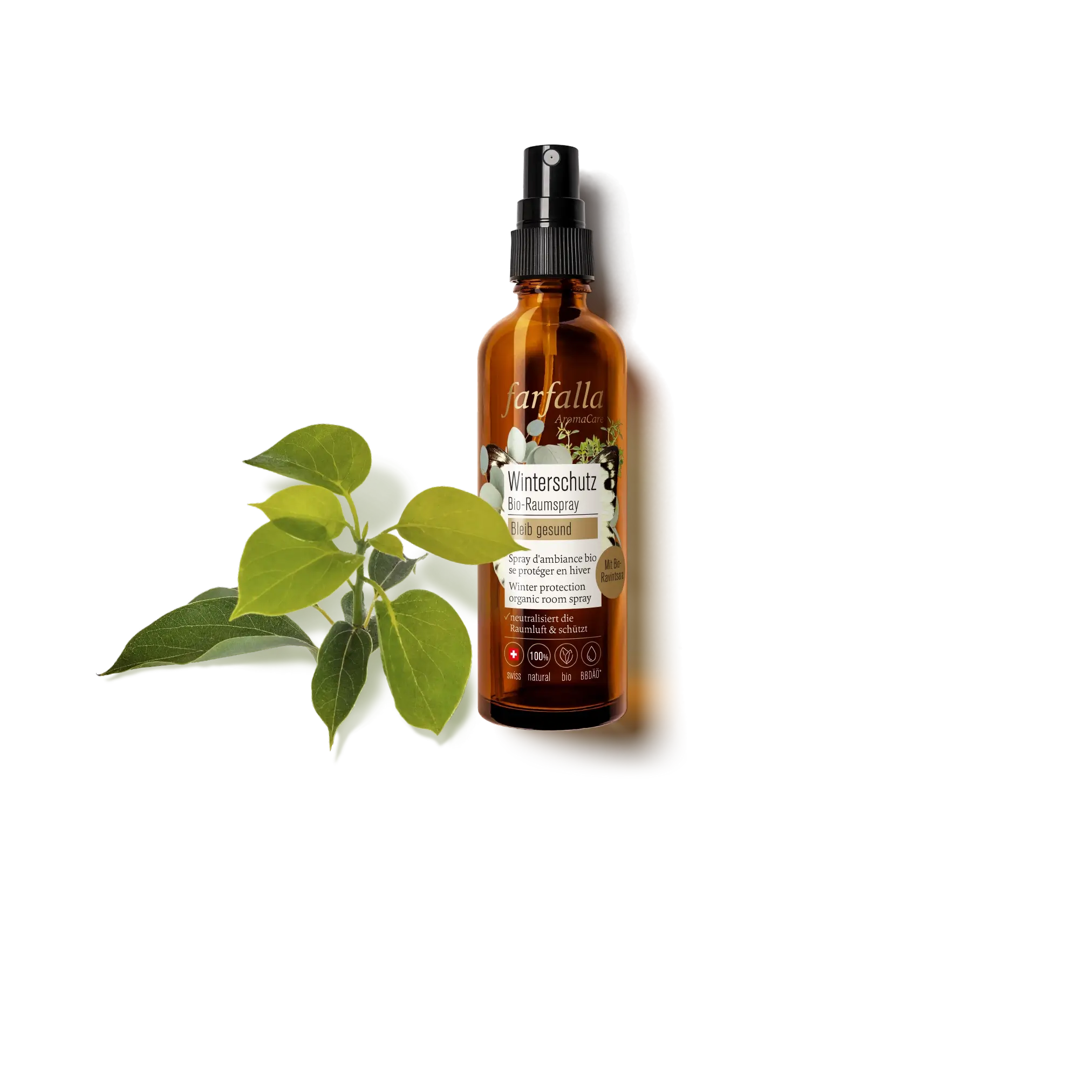 Ätherisches Öl Rosmarin Chemotyp Kampfer bio Bleib gesund – farfalla.ch